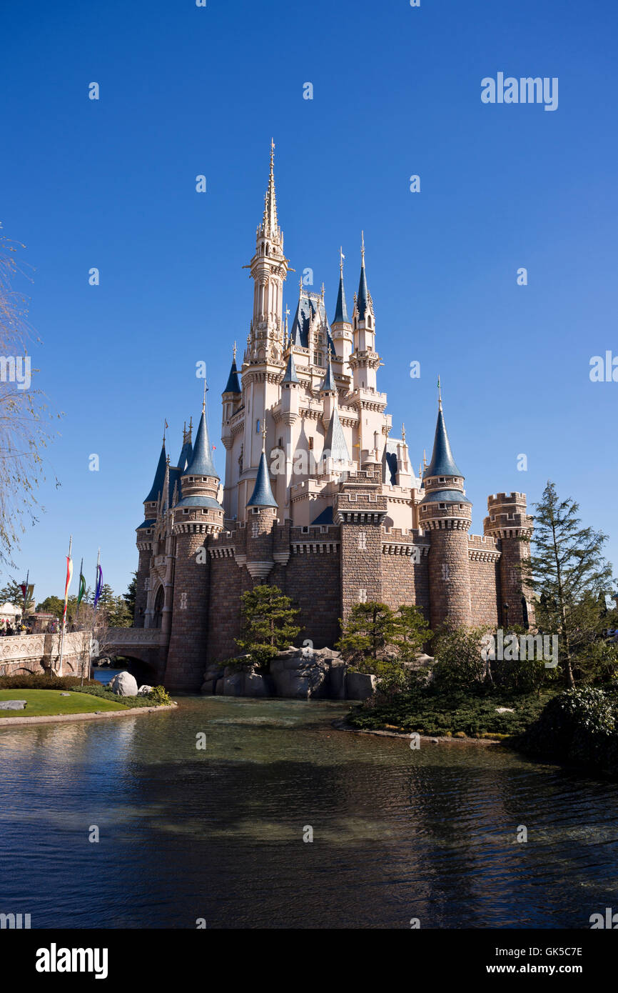 Pink tulip flowers in Tokyo Disneyland Stock Photo - Alamy