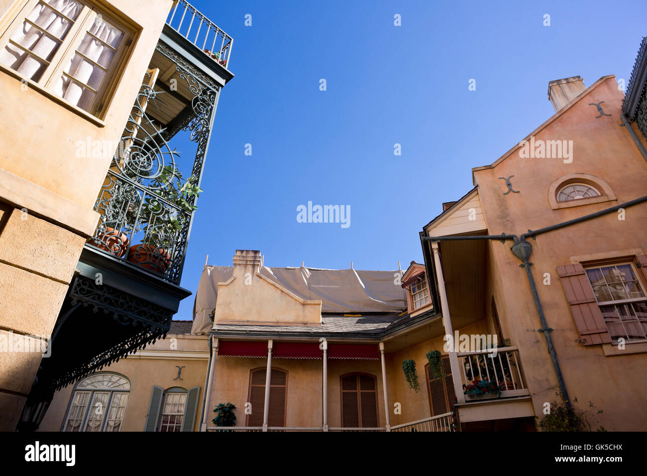 Pink tulip flowers in Tokyo Disneyland Stock Photo - Alamy