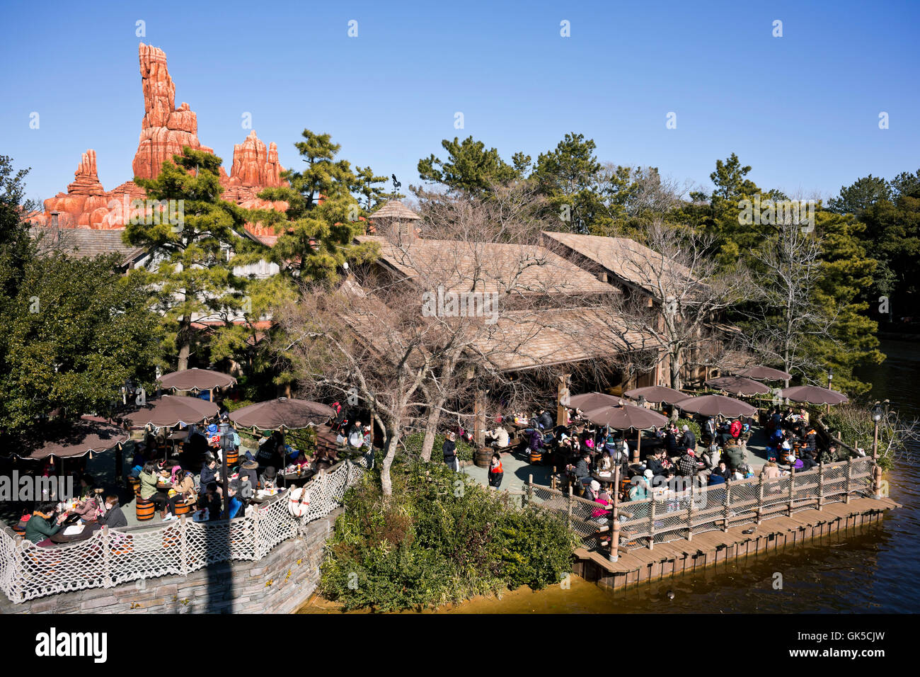 Pink tulip flower at Tokyo Disneyland Stock Photo - Alamy
