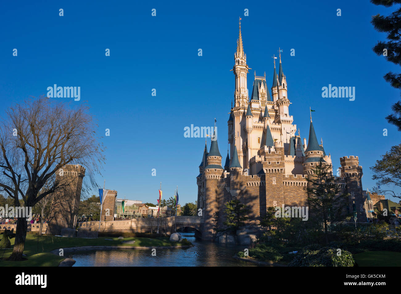 Pink tulip flowers in Tokyo Disneyland Stock Photo - Alamy