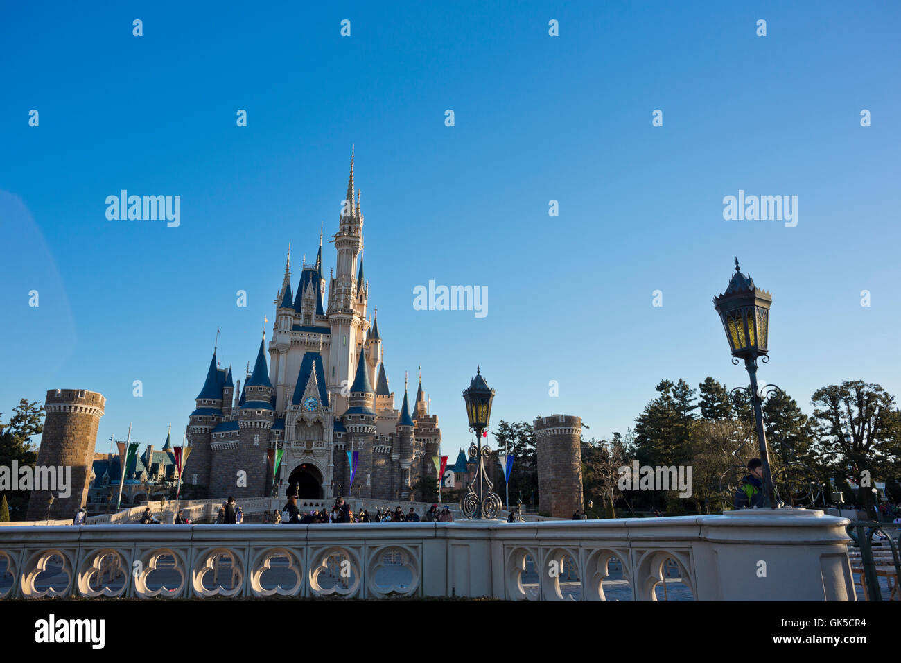 Pink tulip flowers in Tokyo Disneyland Stock Photo - Alamy