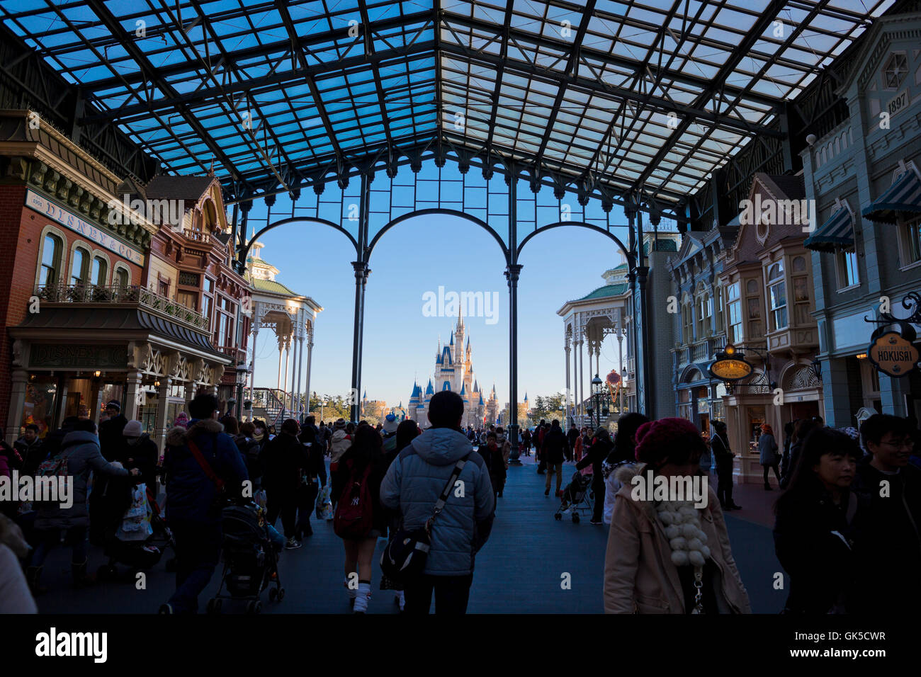 Pink tulip flowers in Tokyo Disneyland Stock Photo - Alamy