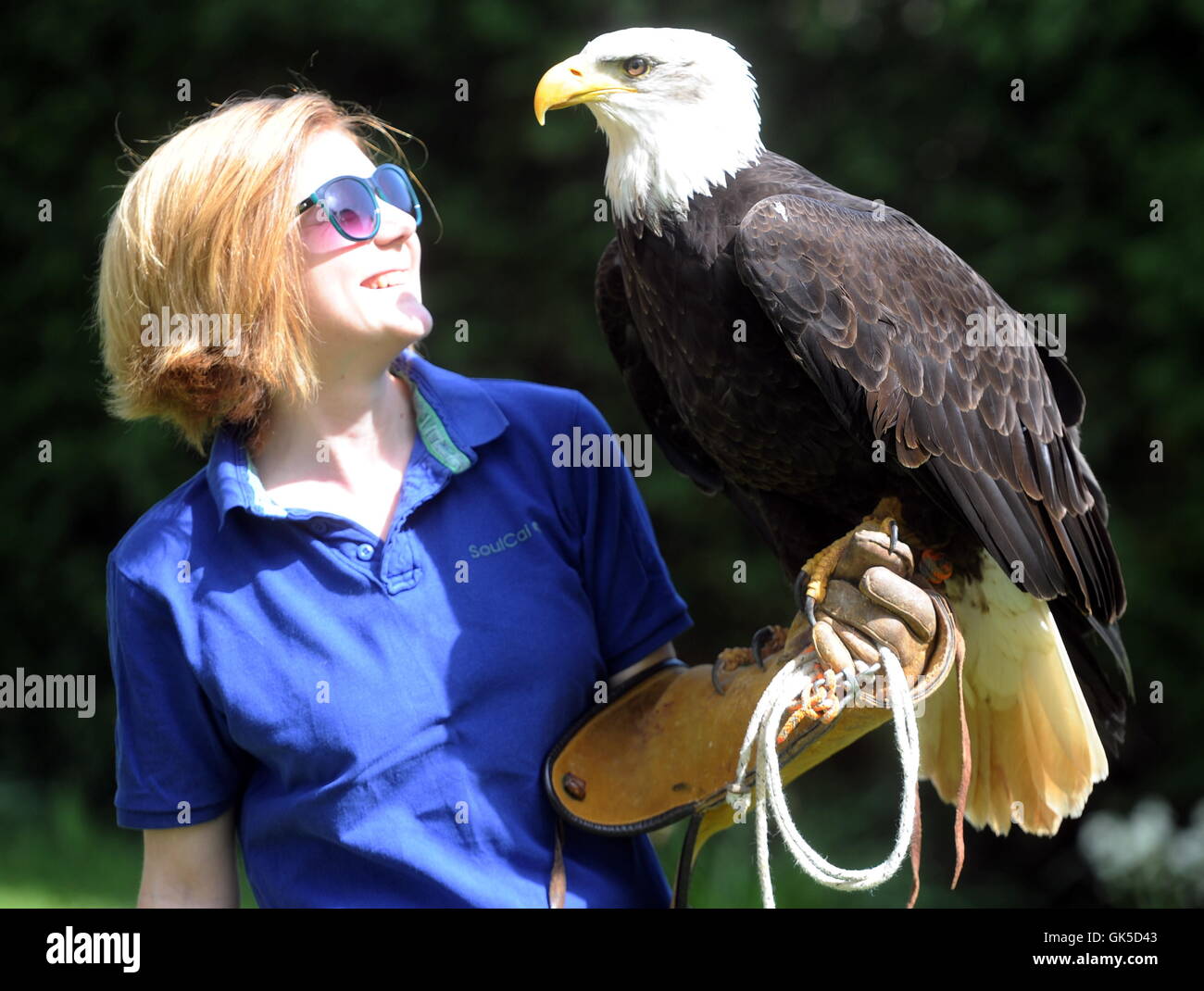 Holly Cale, Curator at the International Birds of Prey Centre in Newent ...