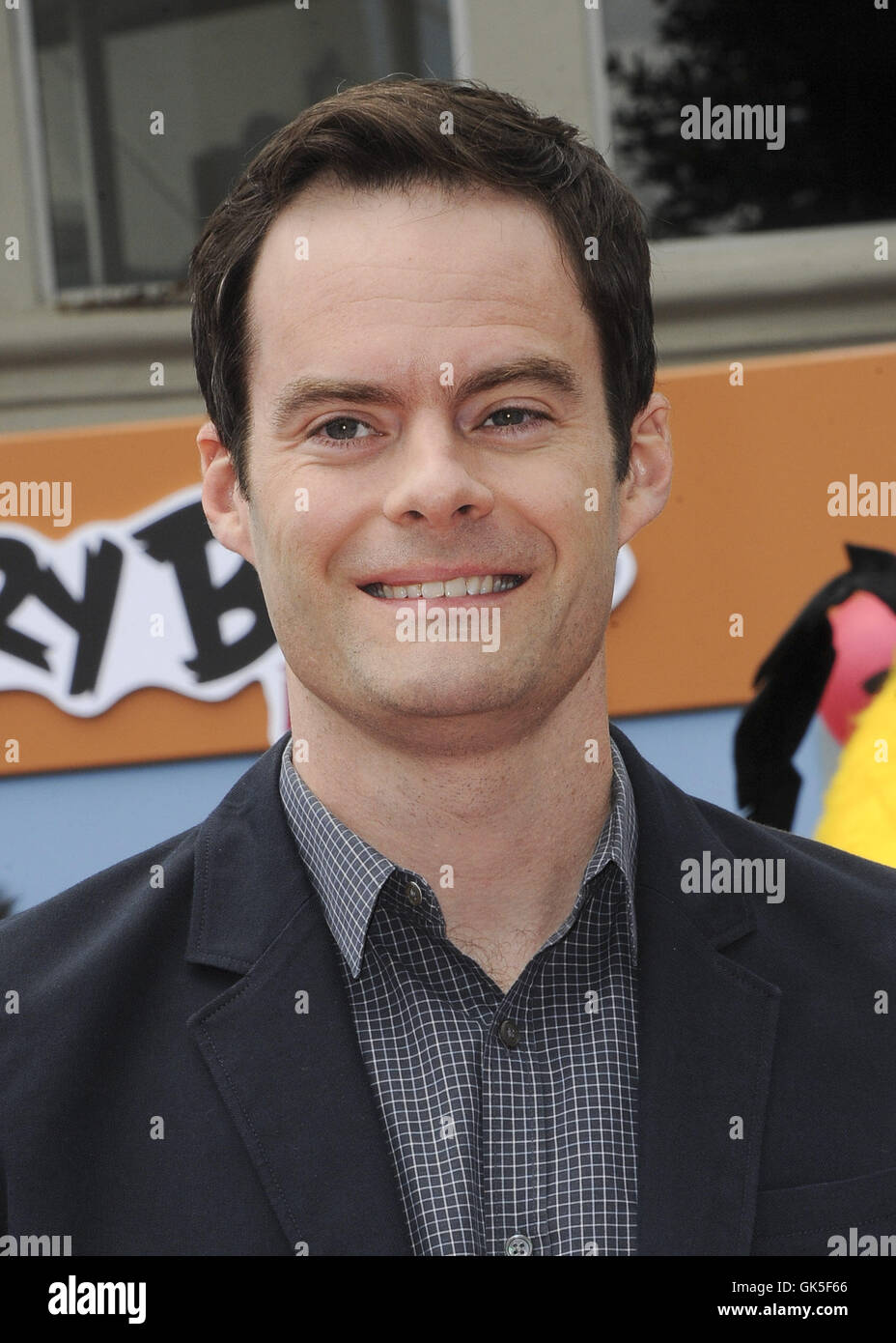 The Angry Birds Movie' LA premiere at the Regency Theater Featuring ...