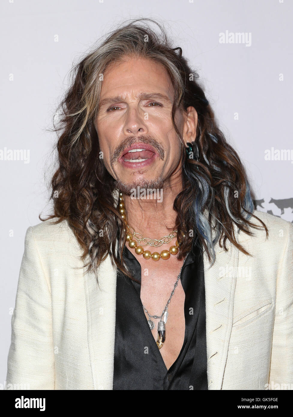 The Humane Society Of The United States' To The Rescue Gala Featuring ...