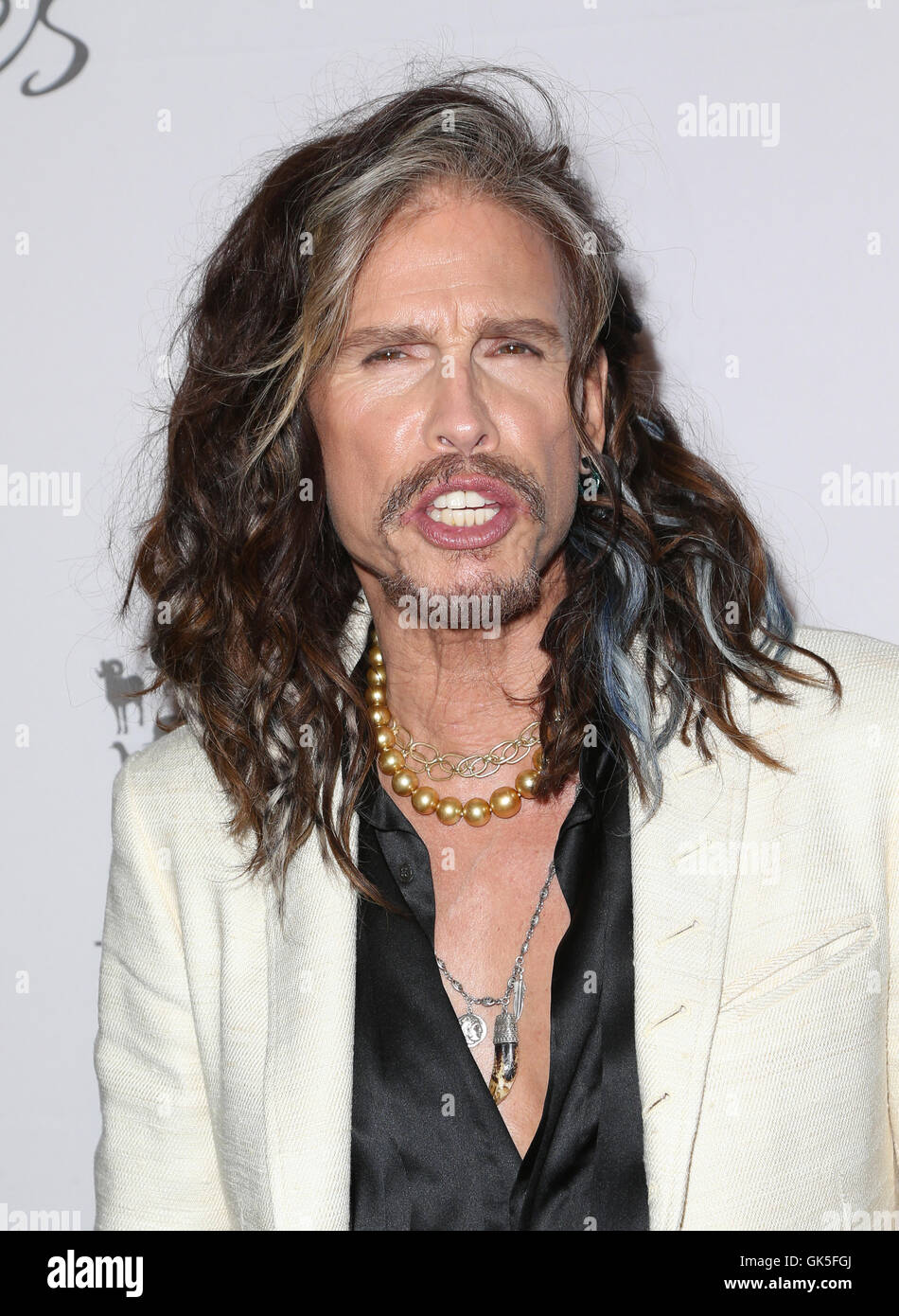 The Humane Society Of The United States' To The Rescue Gala Featuring ...