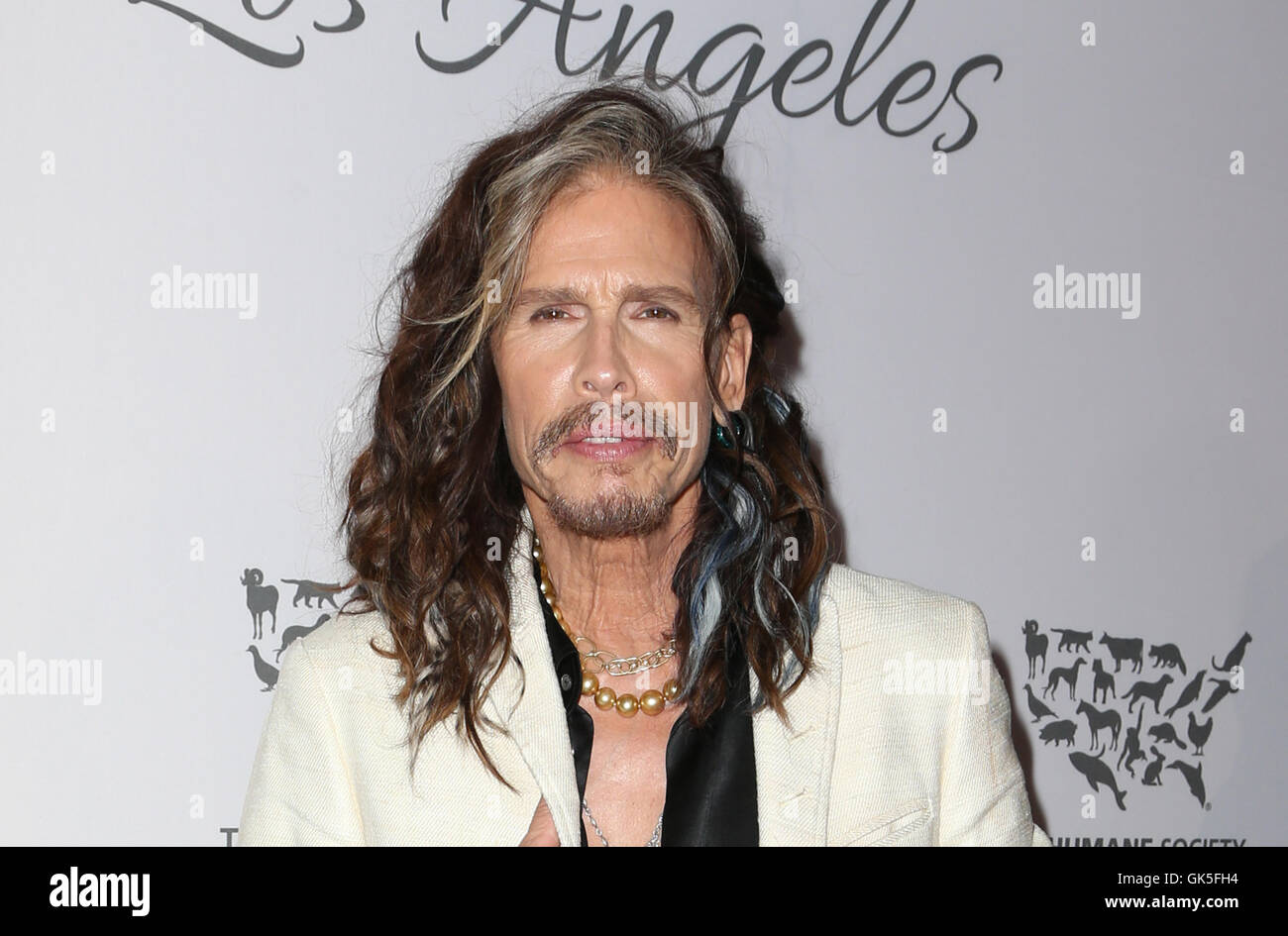 The Humane Society Of The United States' To The Rescue Gala Featuring ...