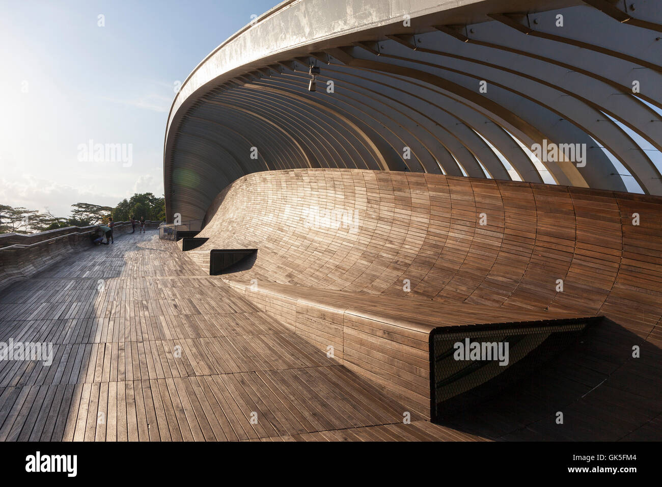Henderson Waves bridge pedestrians, one imaginative design in Singapore ...