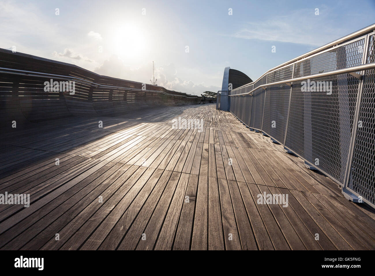 Henderson Waves bridge pedestrians, one imaginative design in Singapore ...