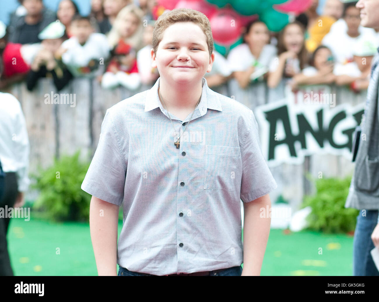 The Angry Birds Movie' LA premiere at the Regency Theater Featuring ...