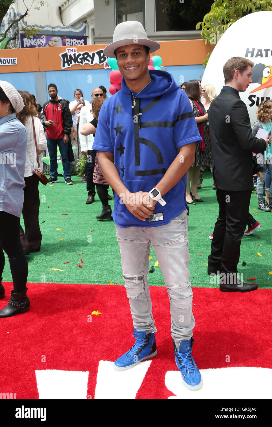 The Angry Birds Movie' LA premiere at the Regency Theater Featuring ...