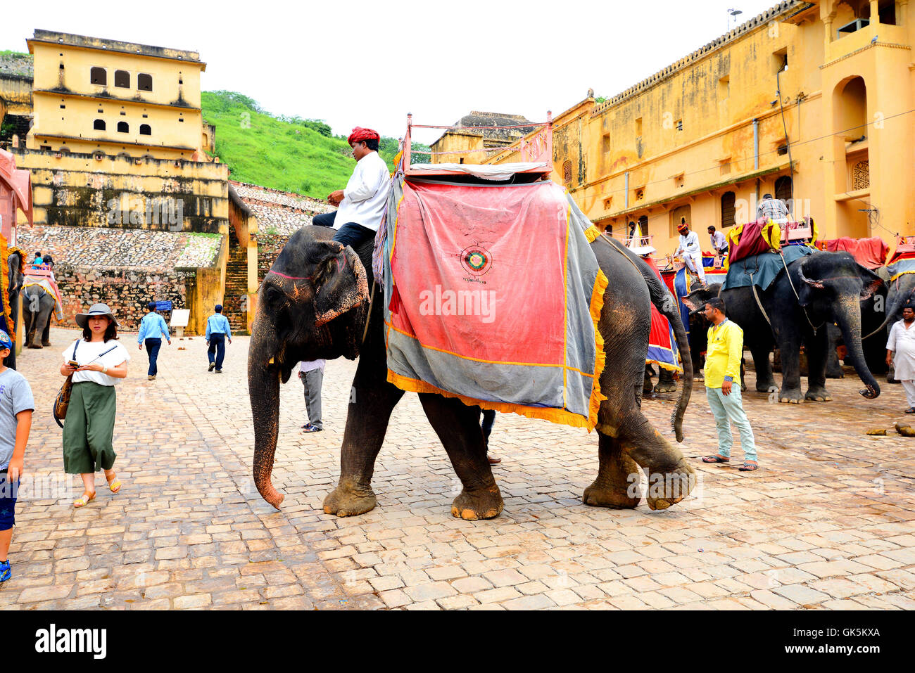 Elephant keeper riding on Elephant at Amber fort, Jaipur, Rajasthan ...