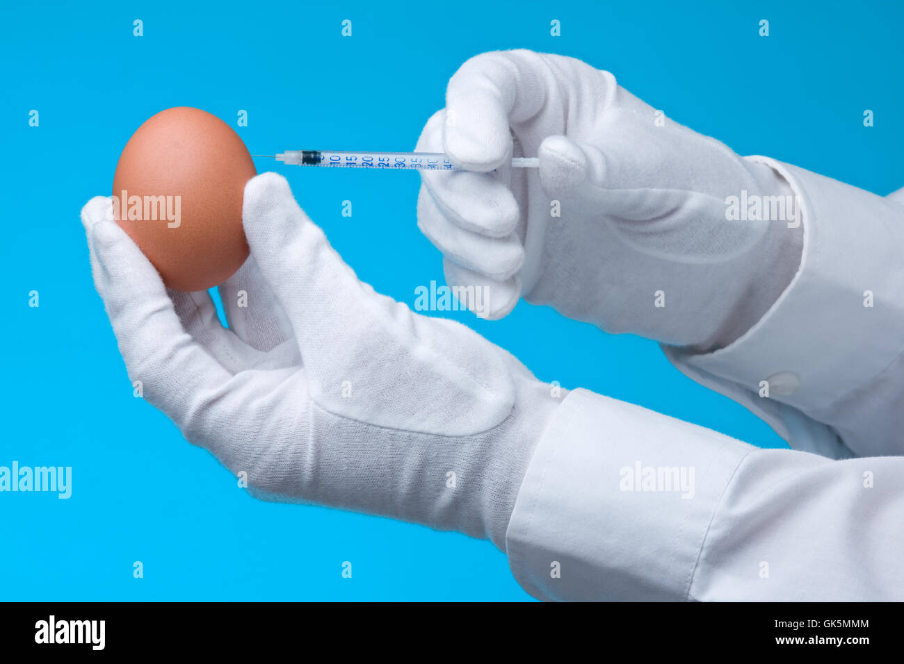 science egg biology Stock Photo - Alamy