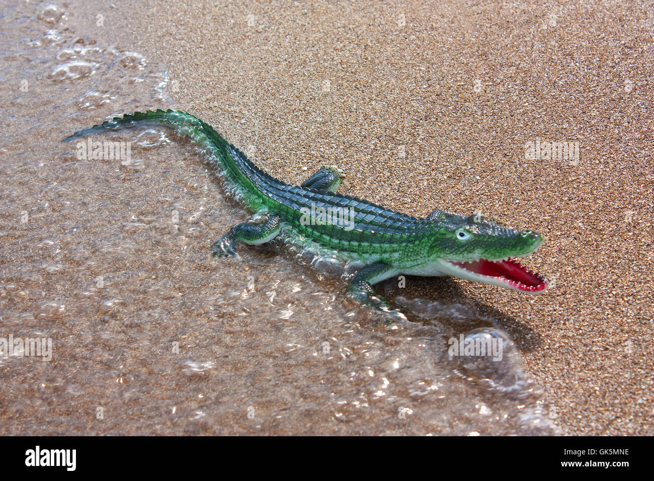 Sand Crocodile High Resolution Stock Photography and Images - Alamy