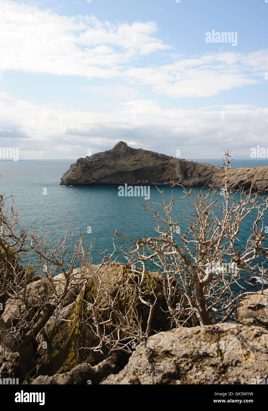 The sea tree and mountains Stock Photo - Alamy