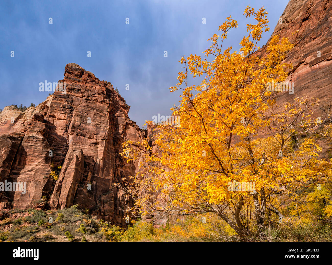 Weeping Rock, view from Hidden Canyon Trail in late October, Zion ...