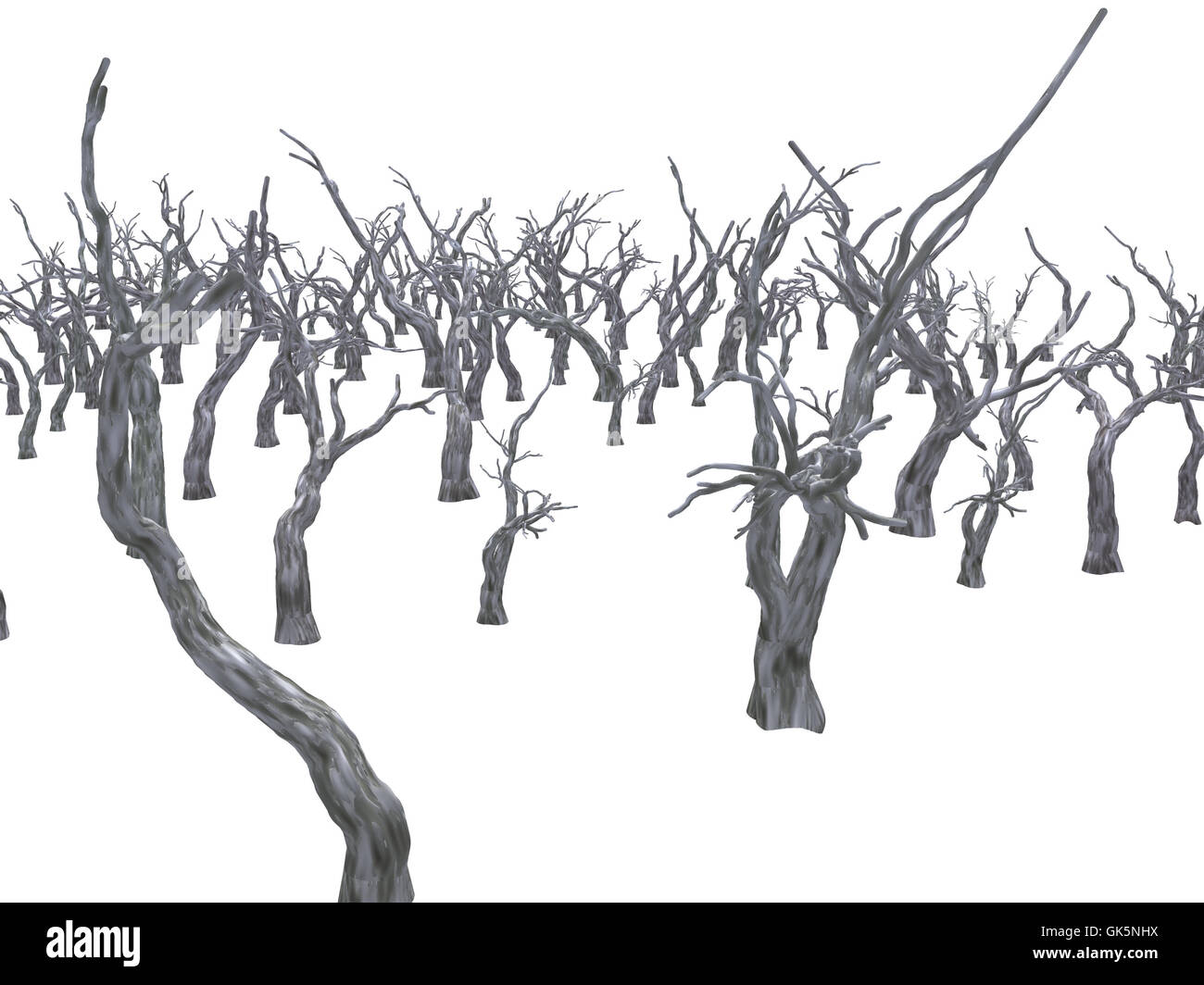 Dead body tree black and white hi-res stock photography and images - Alamy
