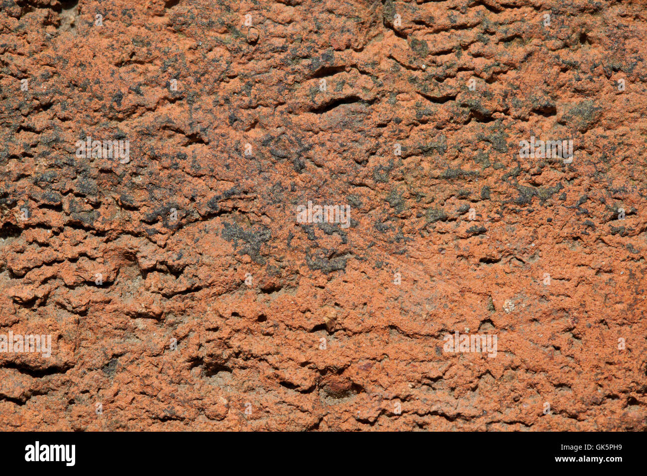 Saturated condition hi-res stock photography and images - Alamy