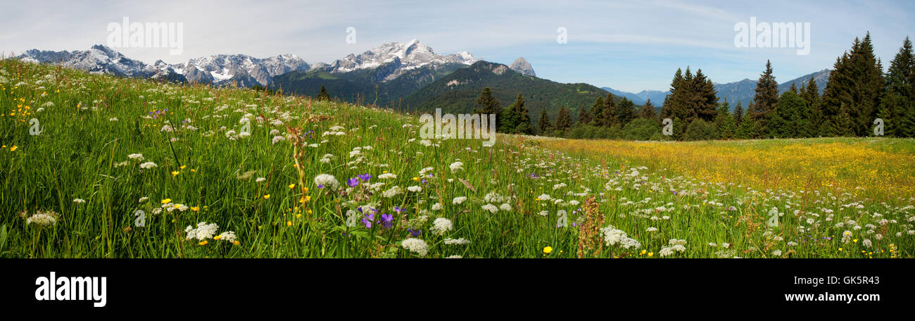 Alpenpanorama hi-res stock photography and images - Alamy