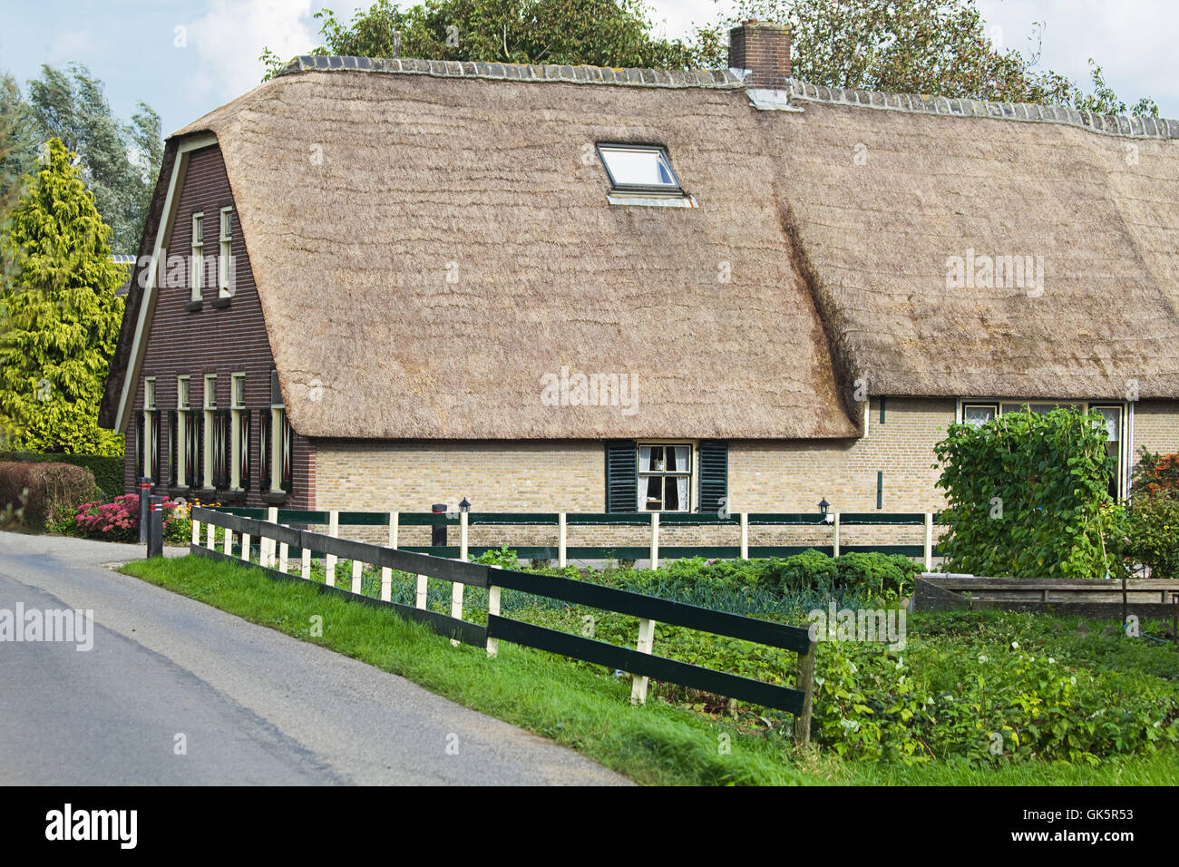 agriculture farming holland Stock Photo - Alamy