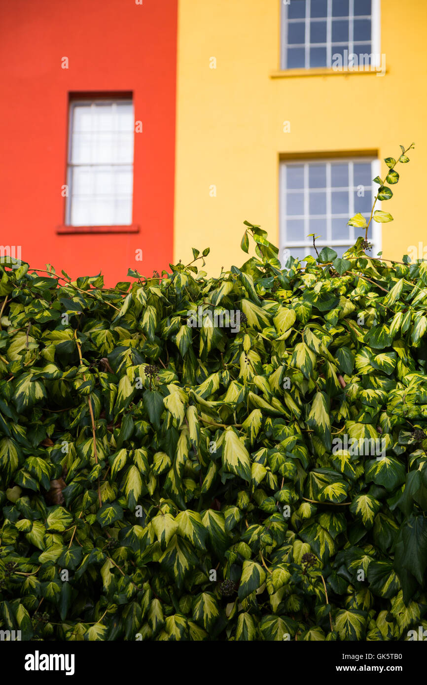 Coloured buildings in the grounds of Dublin Castle, Ireland Stock Photo ...