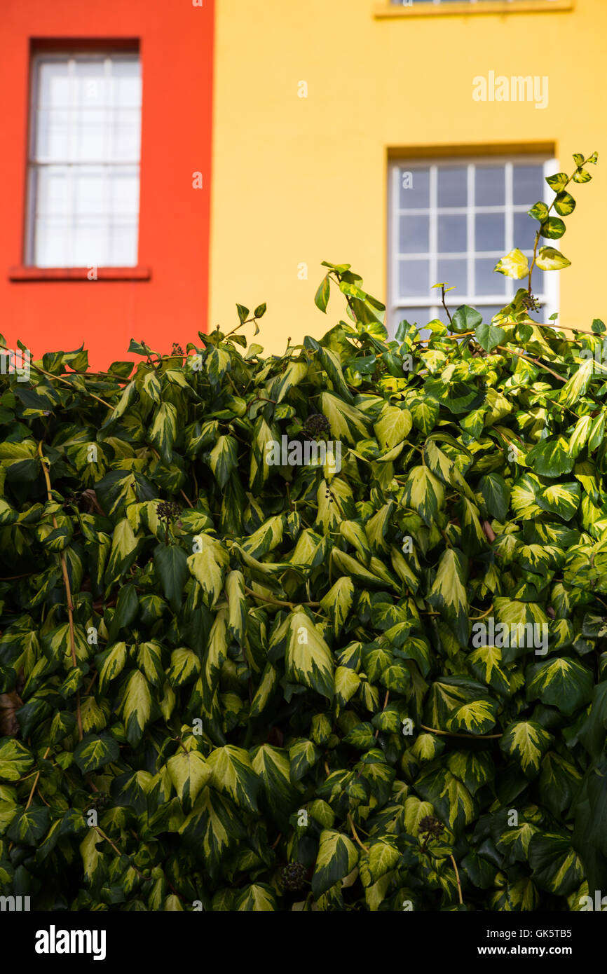 Coloured buildings in the grounds of Dublin Castle, Ireland Stock Photo ...