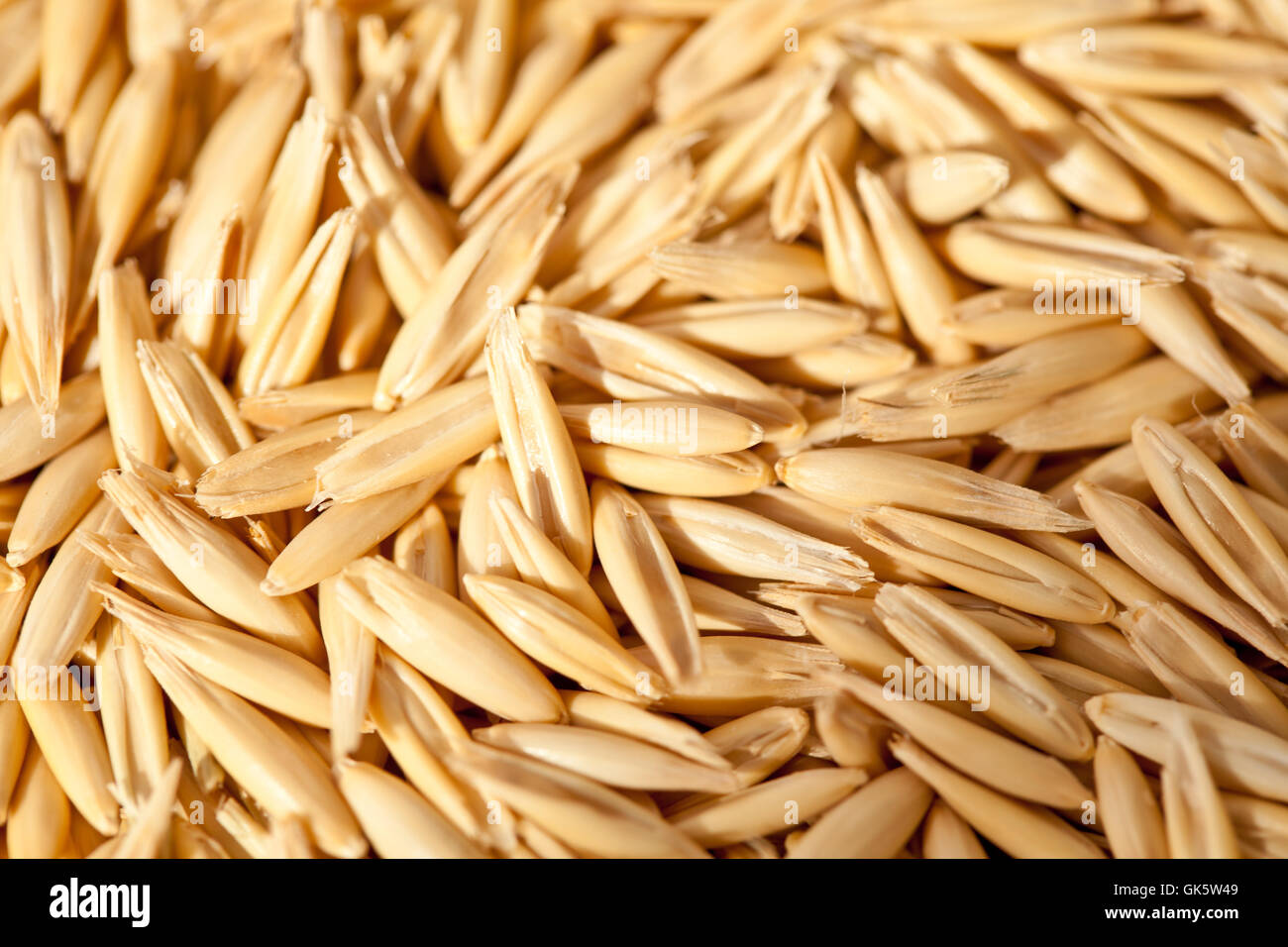 Seeds of oats Stock Photo - Alamy