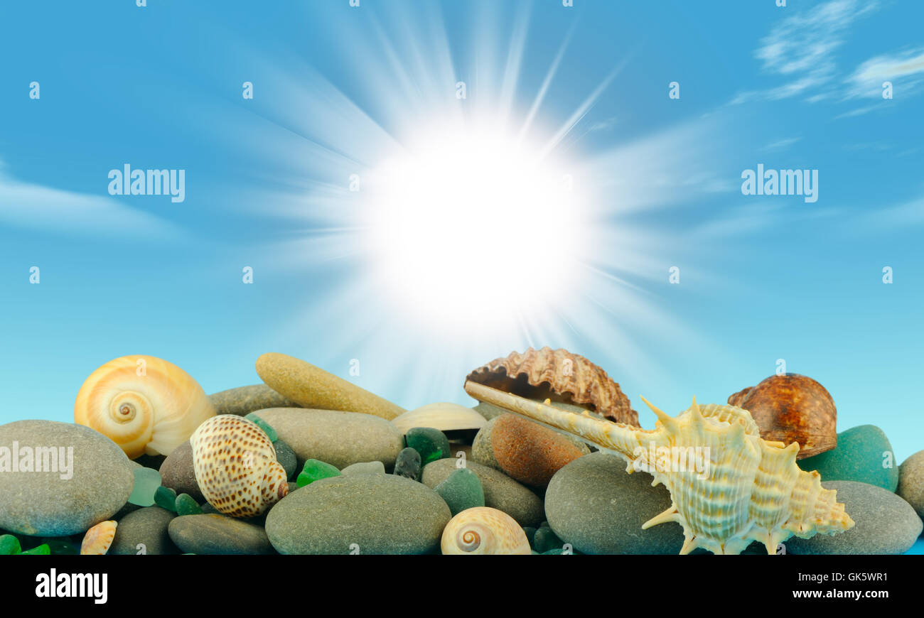 Set of objects of the sea underwater world Stock Photo - Alamy