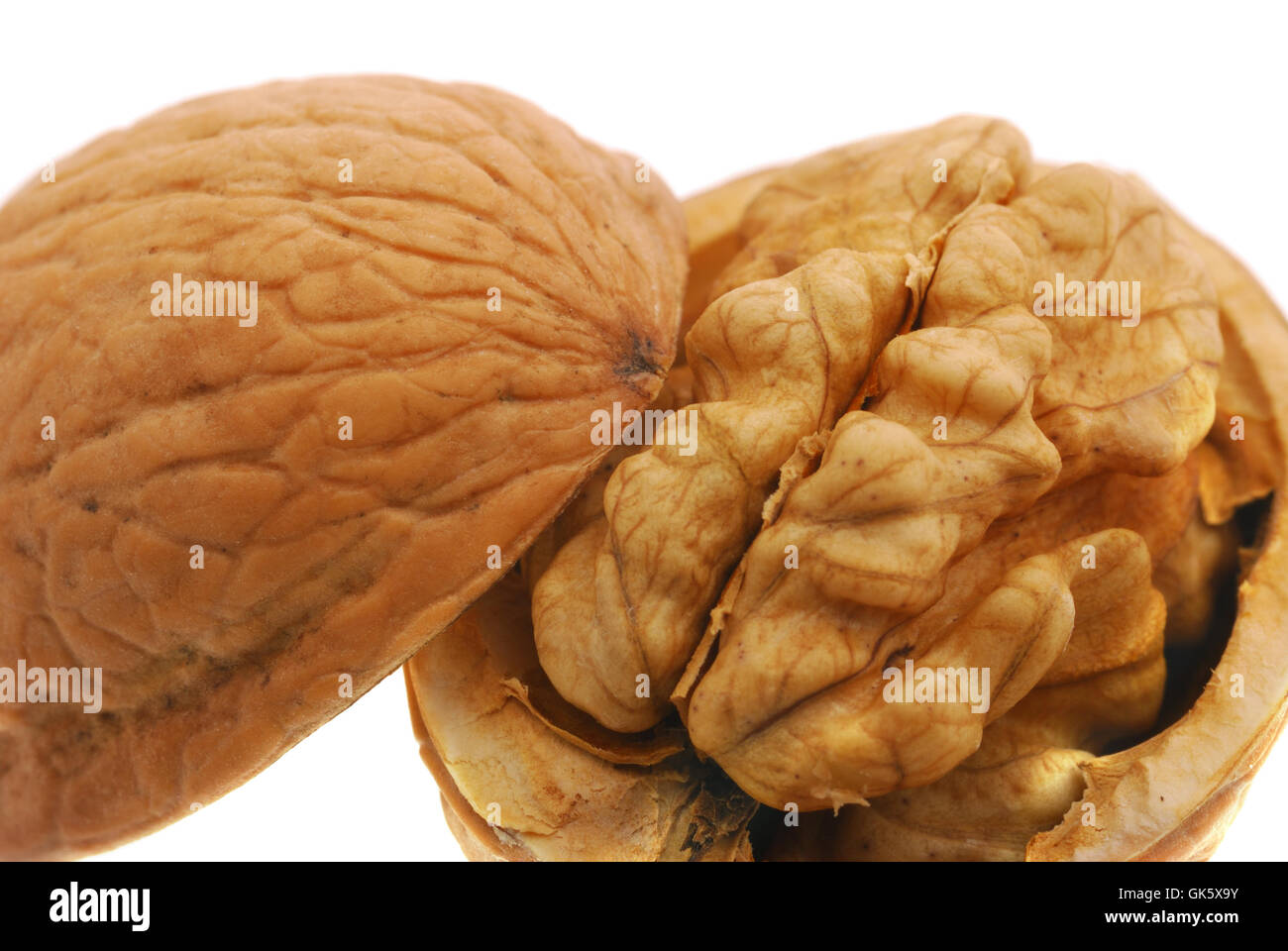 Isolated open walnut hi-res stock photography and images - Alamy
