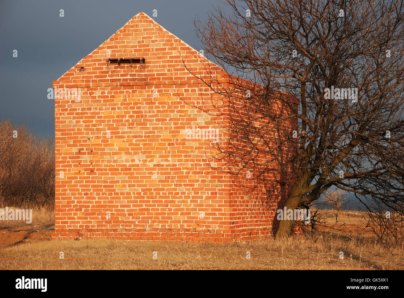 Brick building and dry tree Stock Photo - Alamy