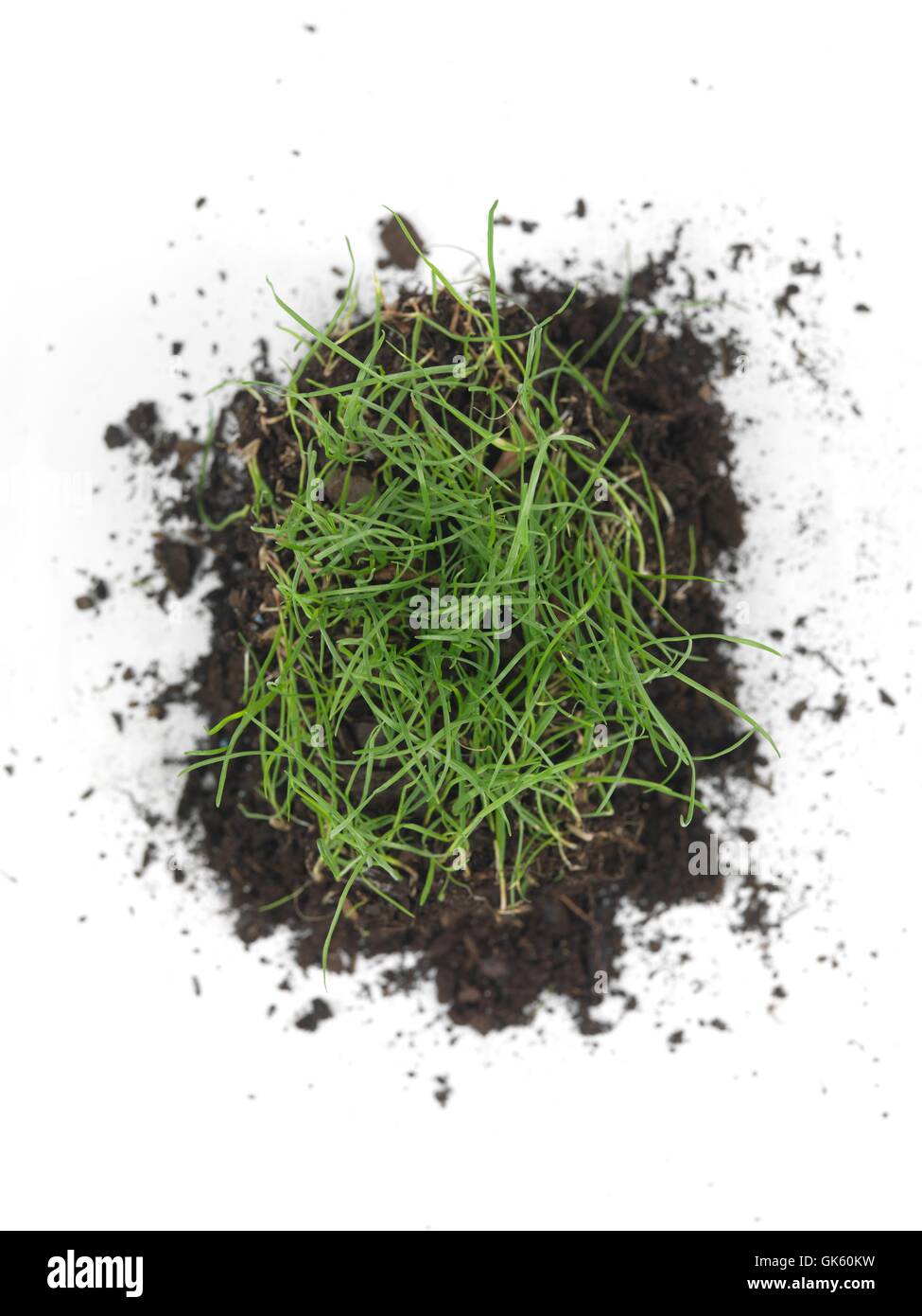 Abstract natural backgrounds grass Cut Out Stock Images & Pictures - Alamy