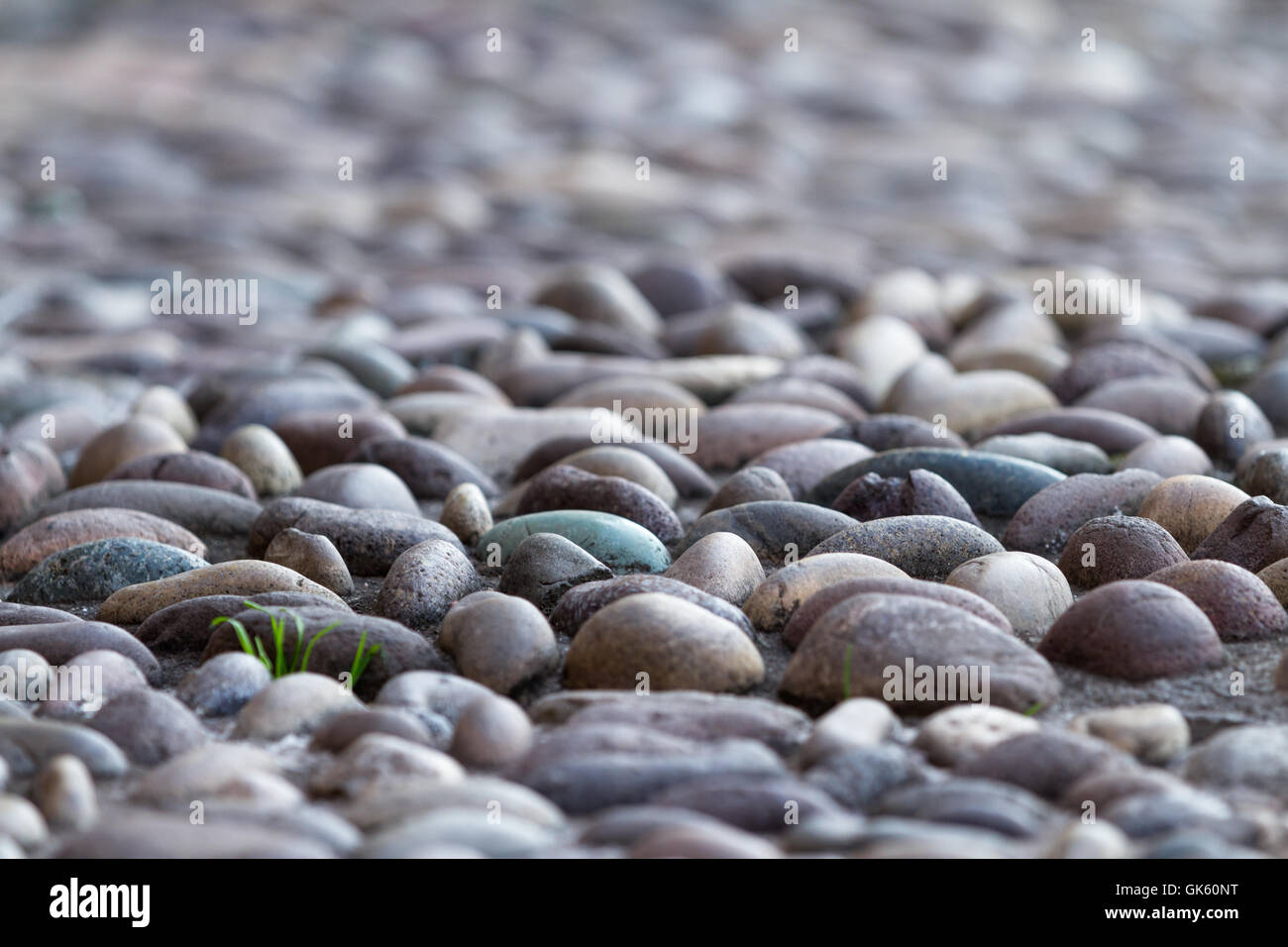 small smooth stones laid down on a walkway with green grass growing ...