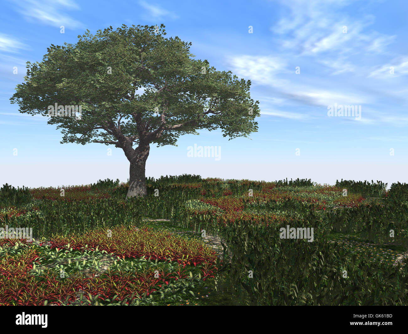 tree and field Stock Photo - Alamy