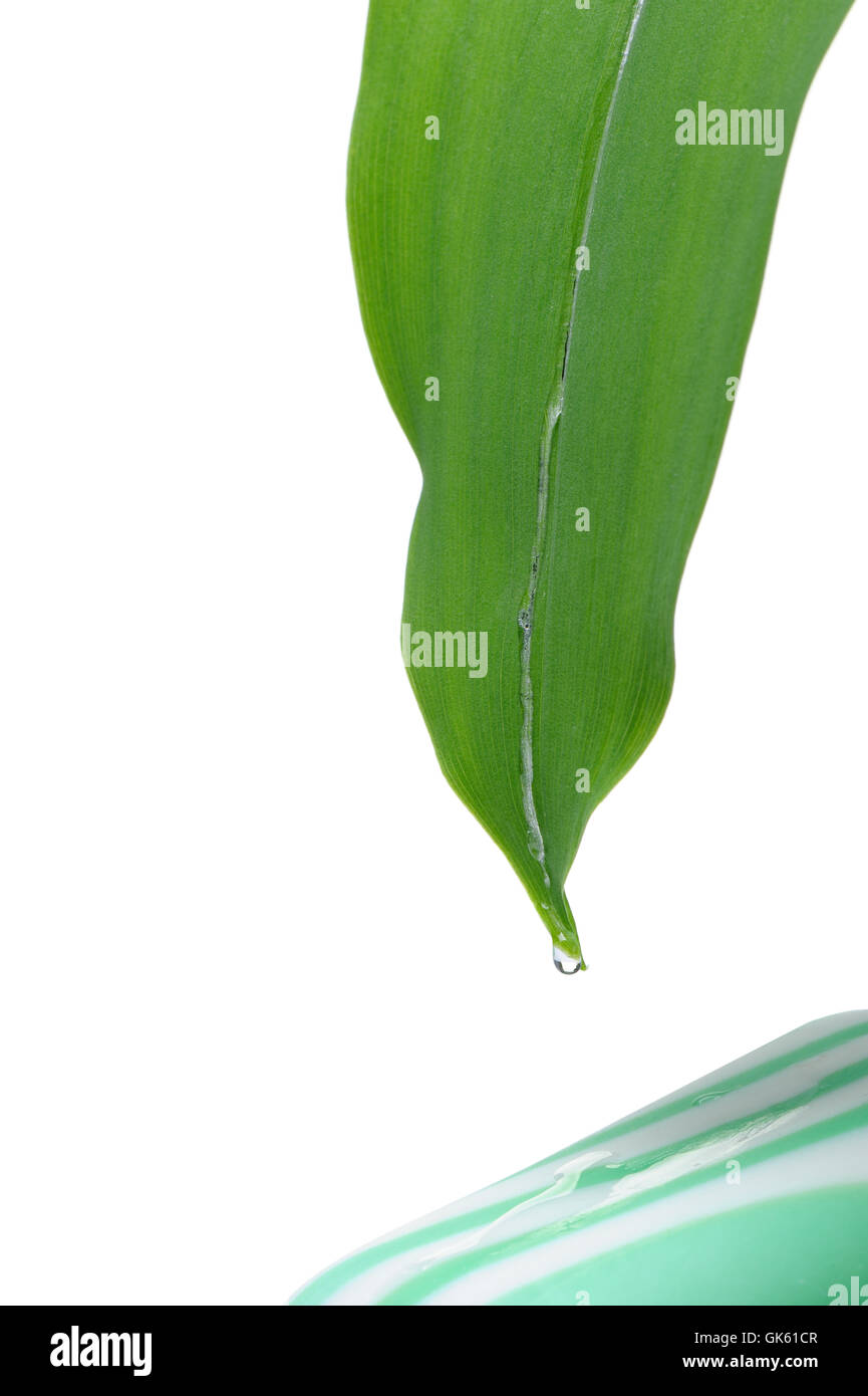 Soap drip hi-res stock photography and images - Alamy