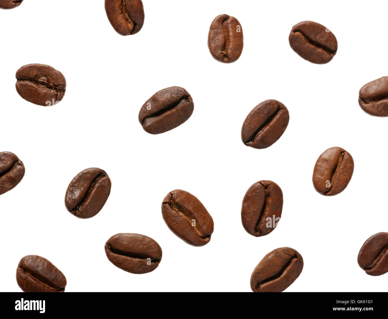 Coffee bean plant on white hi-res stock photography and images - Alamy