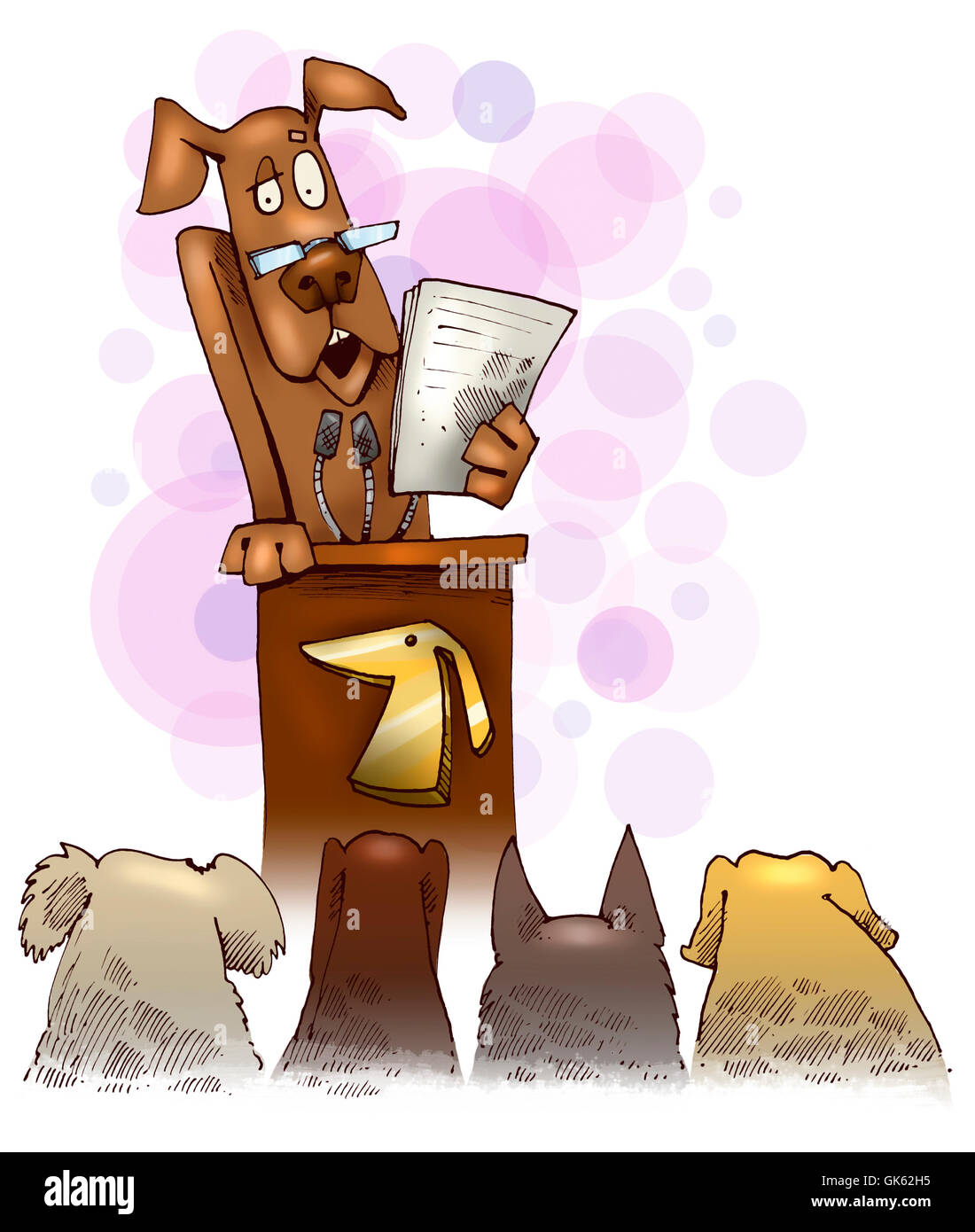 dog giving a speech Stock Photo - Alamy