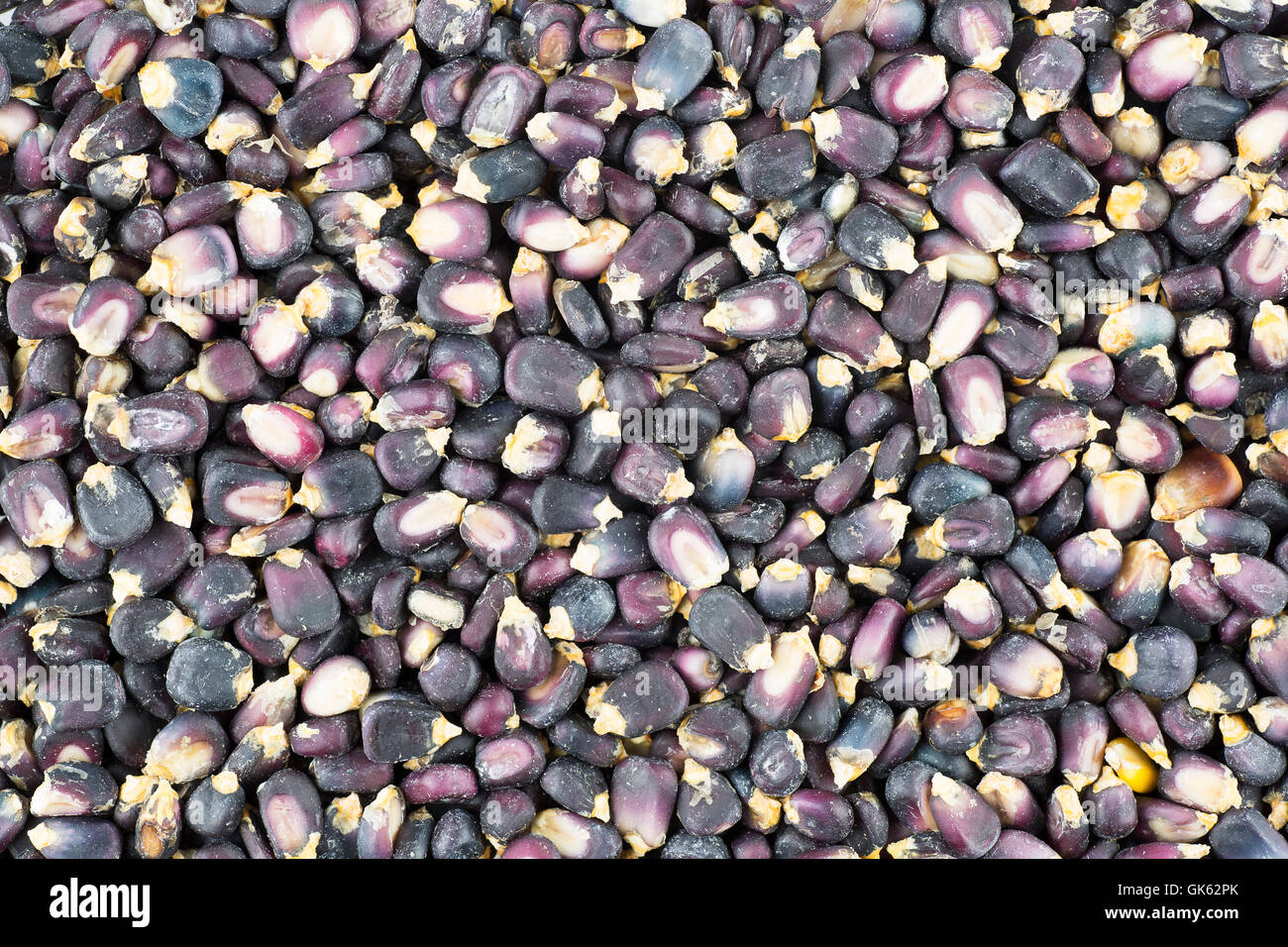 Dried blue corn hominy food background Stock Photo - Alamy