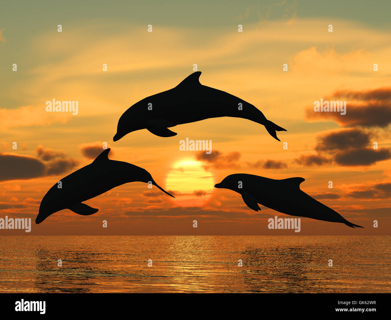 dolphin yellow sunset Stock Photo - Alamy