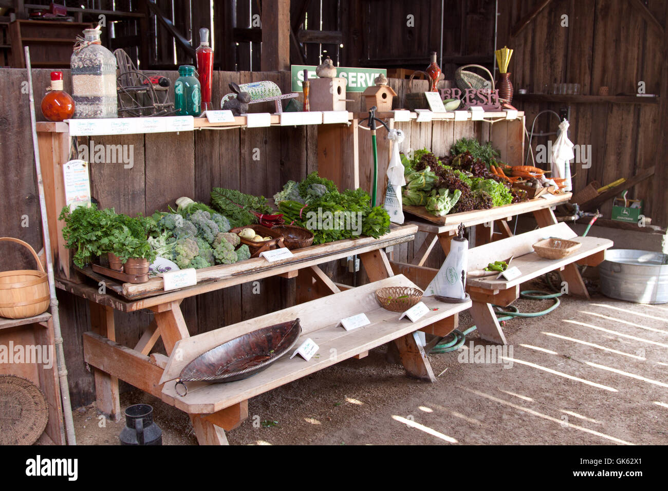 fresh vegetables in an old wooden barn on the organic farm Stock Photo ...