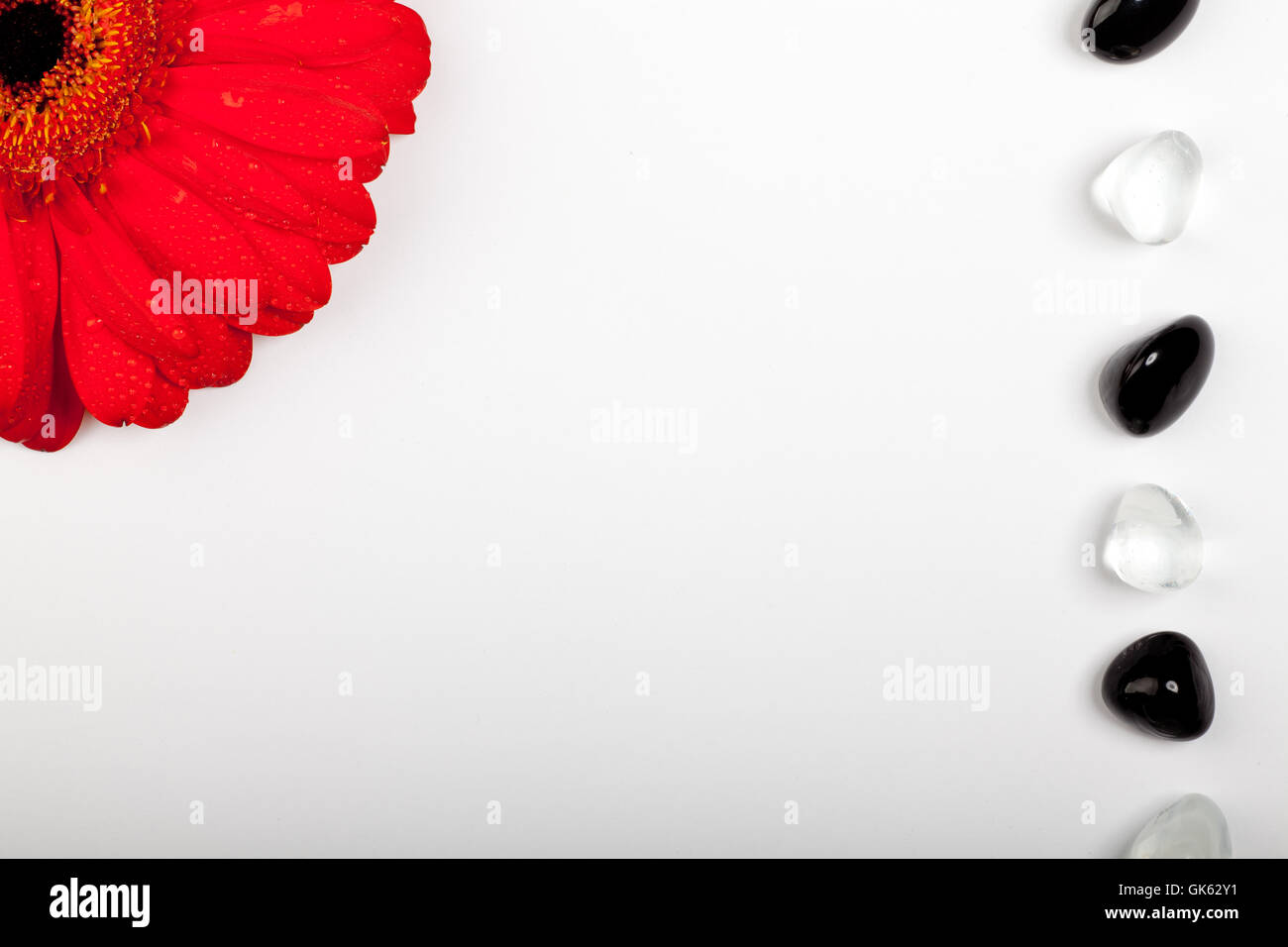 Greetingcard hi-res stock photography and images - Alamy