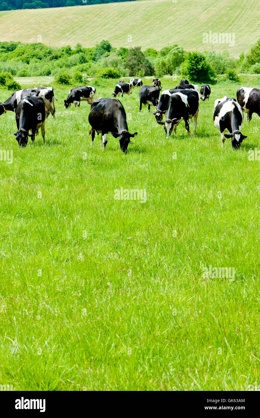 landscape scenery countryside Stock Photo - Alamy