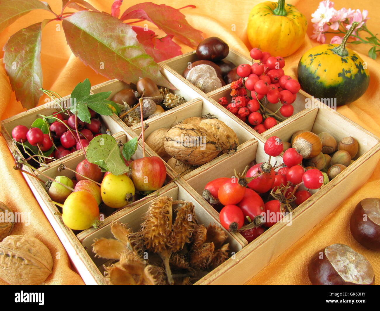 Indian chest box hi-res stock photography and images - Alamy