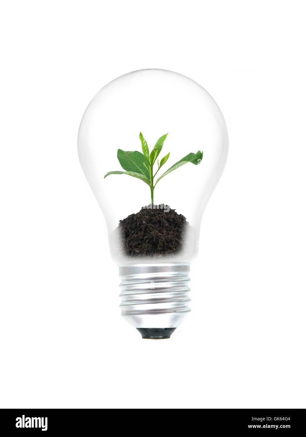 Light bulb small tree Cut Out Stock Images & Pictures - Alamy