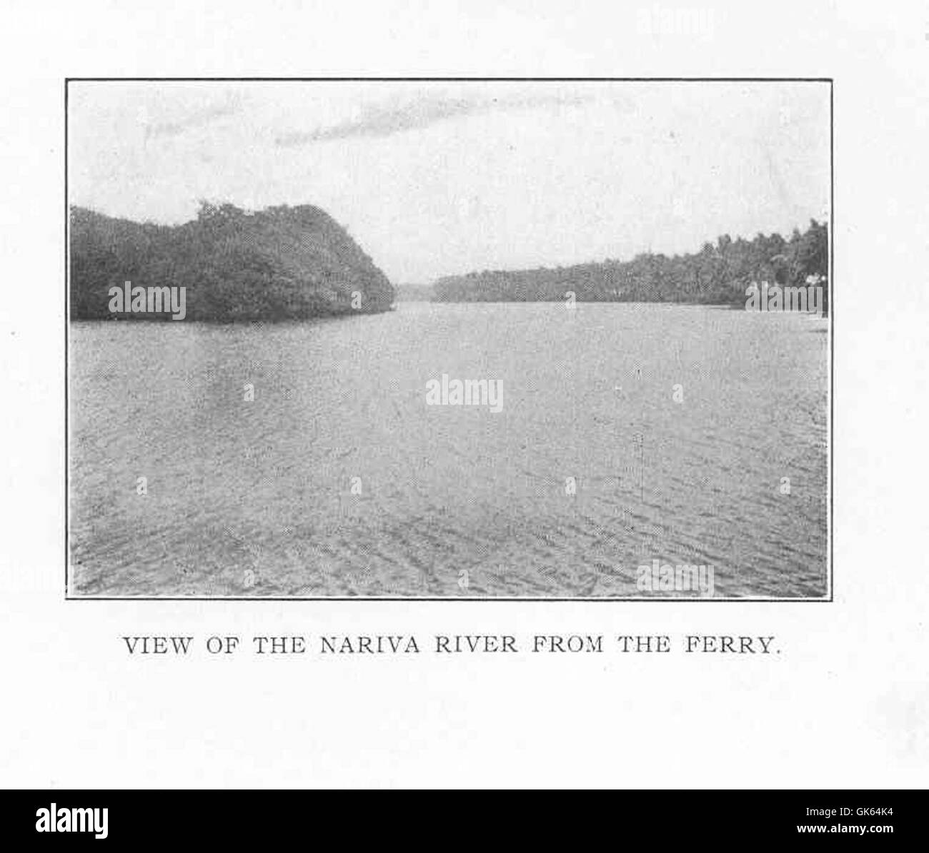 A view of the Nariva River from a ferry, showcasing the natural beauty ...