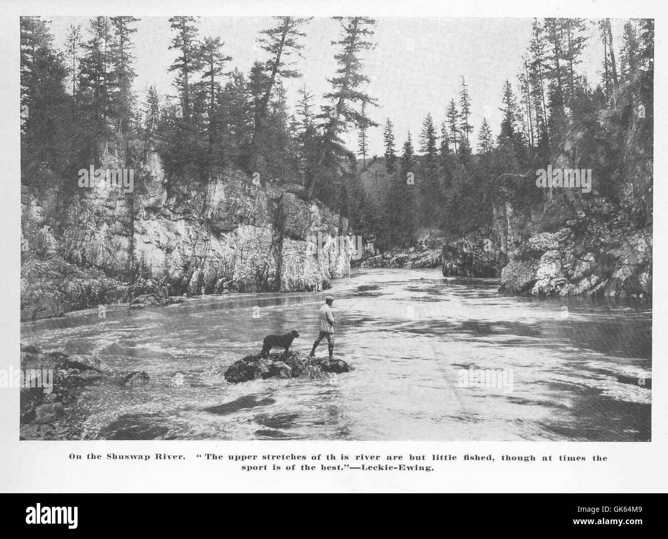This image captures the scenic beauty of the Shuswap River, located in ...