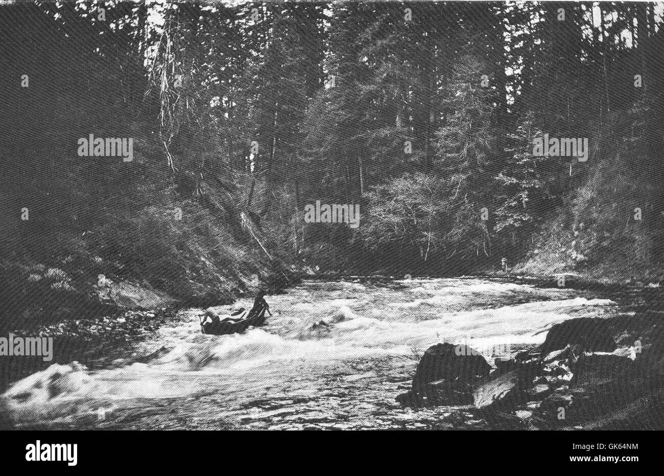 This image showcases the Cowichan River, a renowned river system in ...