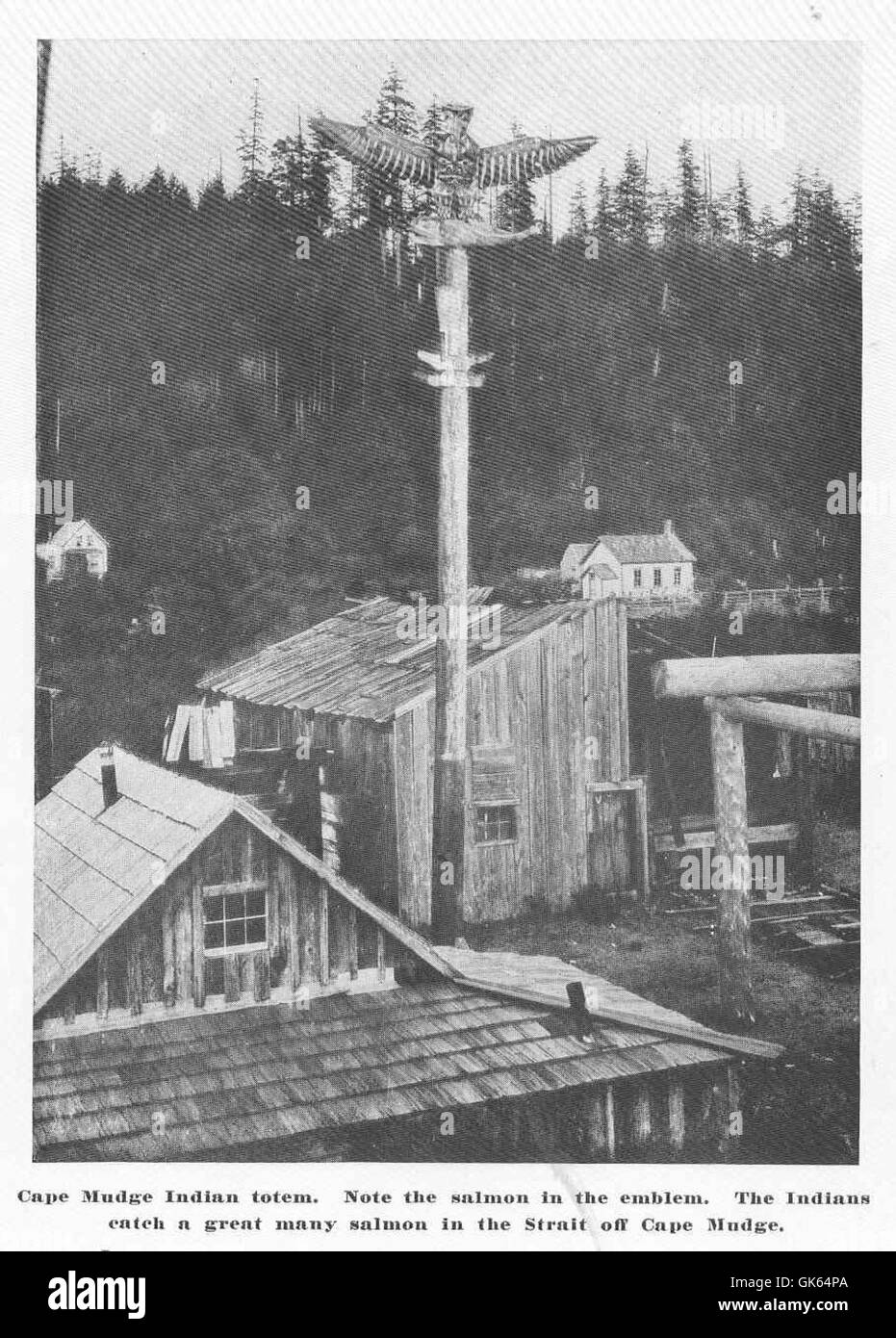 This image features a Cape Mudge Indian totem, showcasing salmon in the ...