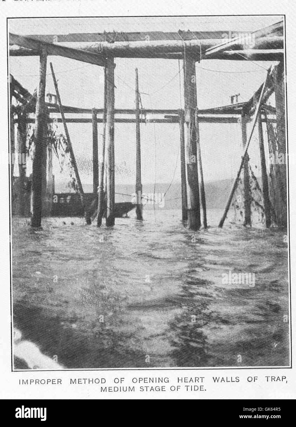 A demonstration of an improper method for opening the heart walls of a ...