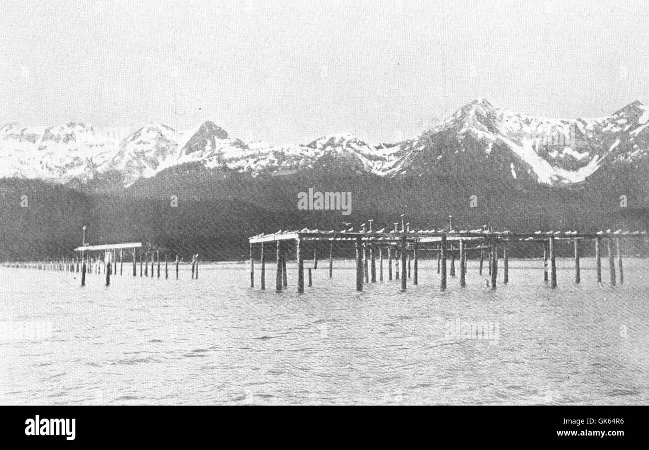 49041 Abandoned trap over 3,000 feet long Stock Photo - Alamy