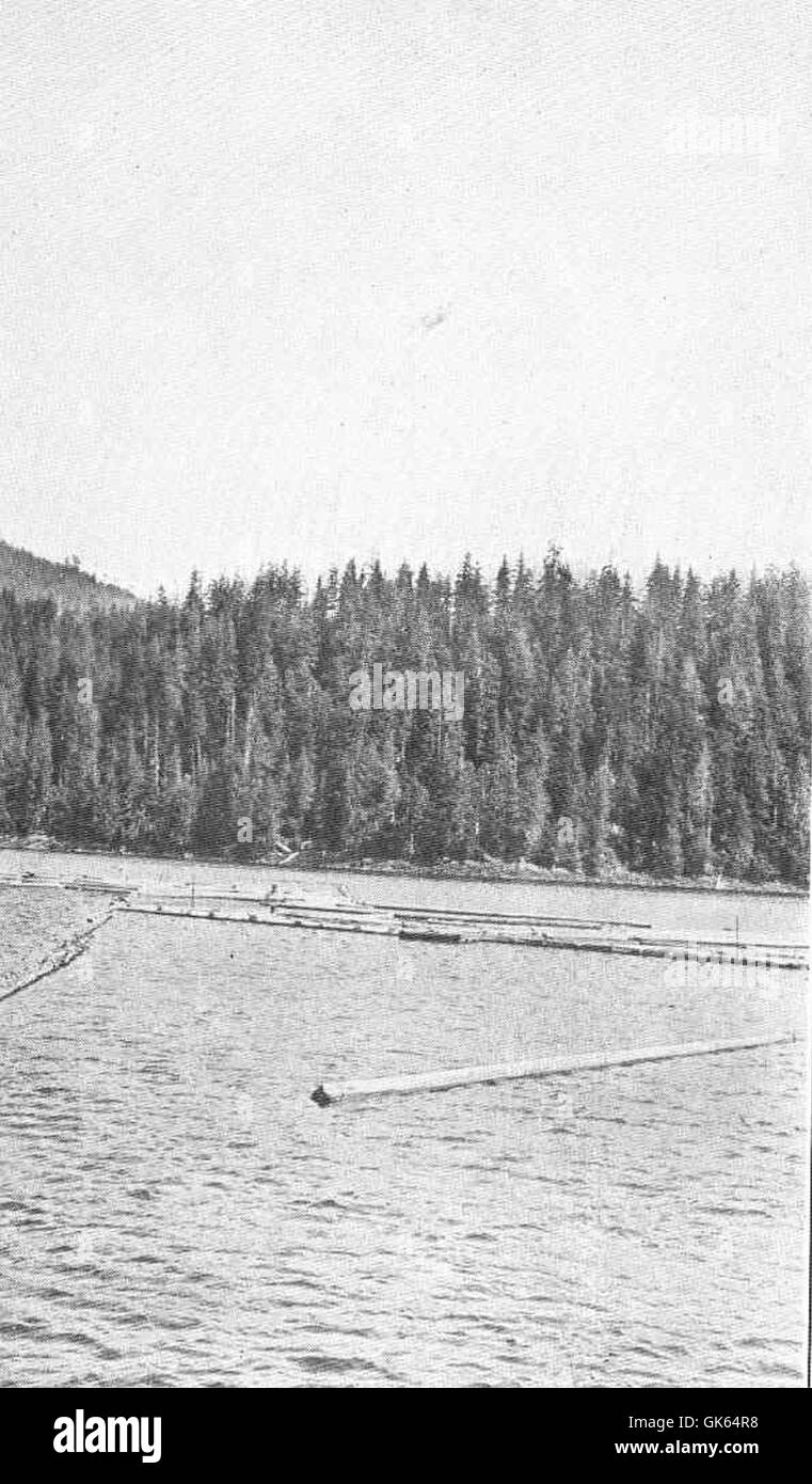 A floating trap is a fishing apparatus used in aquatic environments. It ...